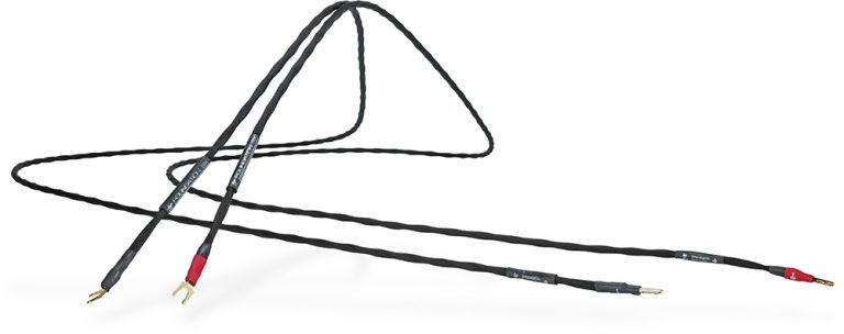 Foundation SX – Eilex