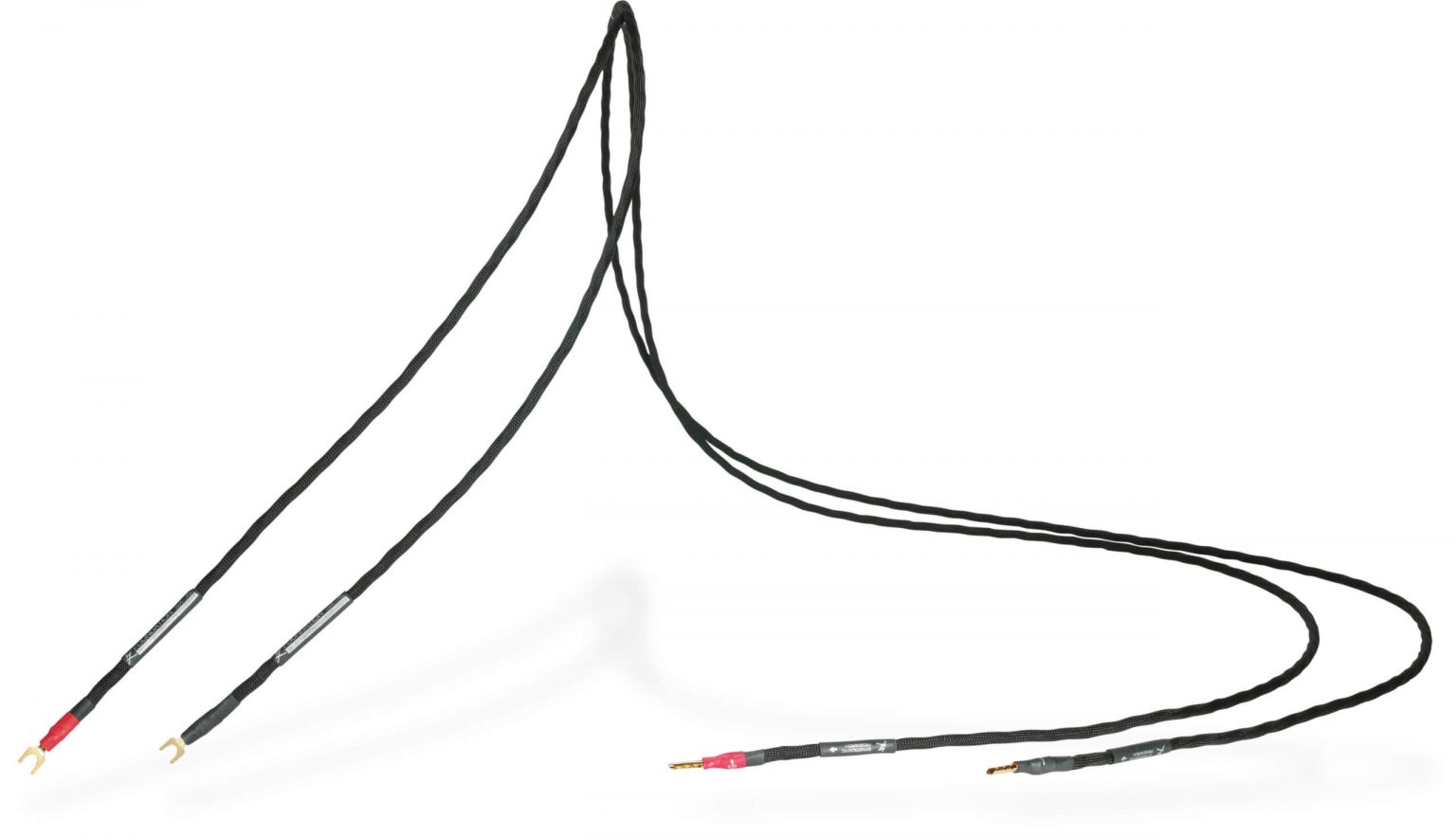 Foundation XL – Eilex